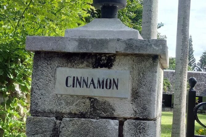 Private Tour to Cinnamon Hill Great House (Home of Johnny Cash) - Who Will Love It