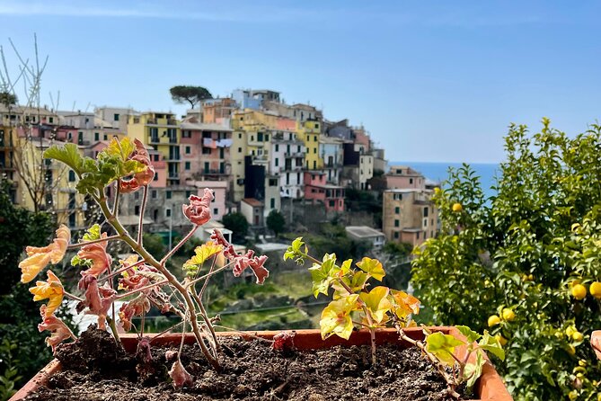 Private Tour to Cinque Terre - Booking Process