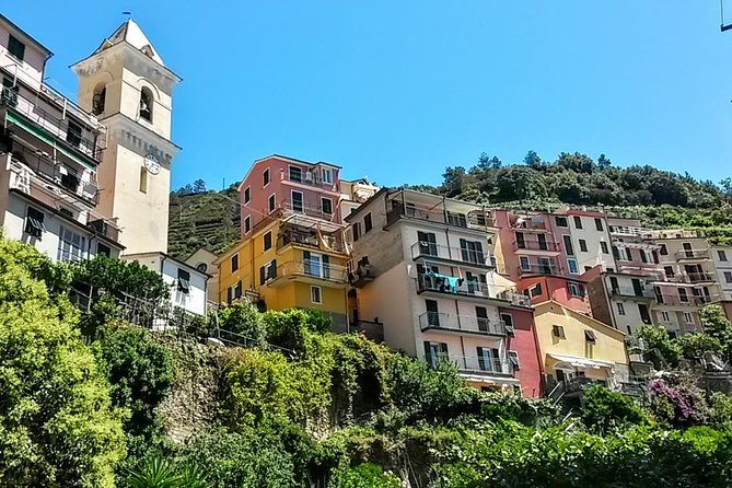 Private Tour to Cinque Terre from Florence - The Sum Up