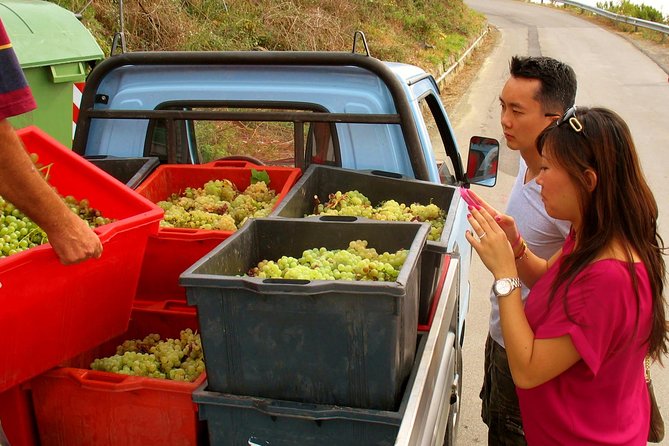 Private Tour to Cinque Terre from Florence - FAQ