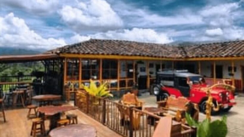 Private Tour to Coffee Farm (farm of your choice) - Introduction