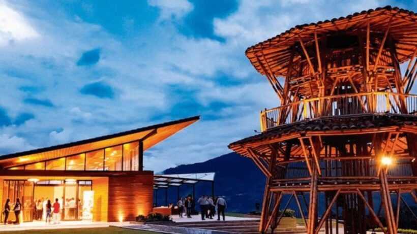 Private Tour to Coffee Farm (farm of your choice) - The Sum Up