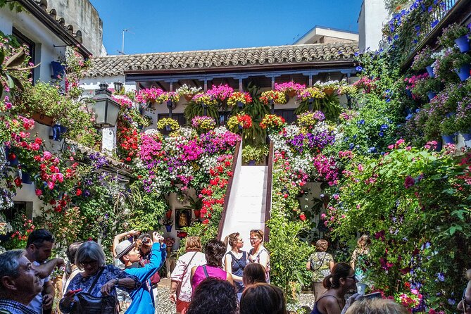 Private Tour to Córdoba From Seville (Several Options) - Highlights of the Córdoba Tour