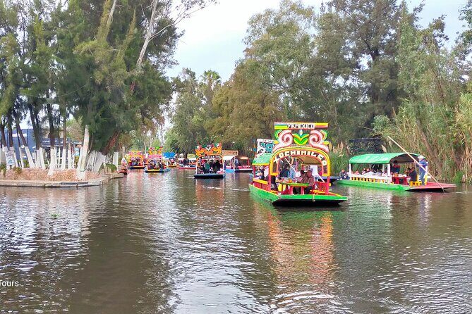 Private Tour to Coyoacán & Xochimilco. - Practical Details and Tips