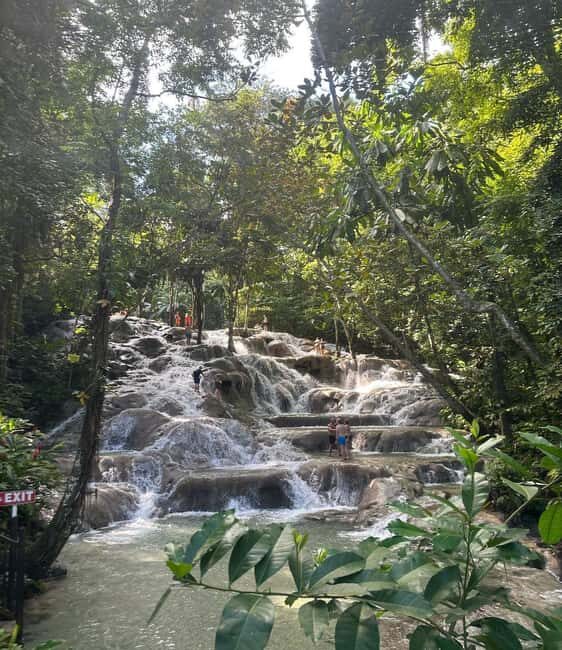 Private Tour to Dunns River and Blue Hole from Montego Bay - An In-Depth Look at the Experience