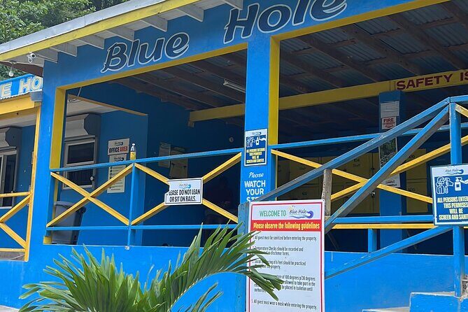 Private Tour to Dunns River and Blue Hole from Montego Bay - An In-Depth Look at the Tour Experience