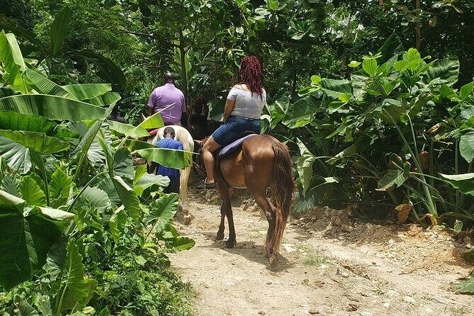 Private Tour to Dunns River and Horseback Riding with Local Guide - Additional Details & Amenities