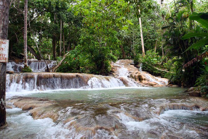 Private Tour to Dunn's River Falls From Ocho Rios - Key Points