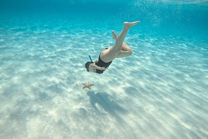 Private Tour to El Cielo and El Cielito and Palancar Cozumel - Authentic Traveler Feedback