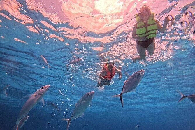 Private Tour to El Cielo and El Cielito and Palancar Cozumel - Is This Tour for You?
