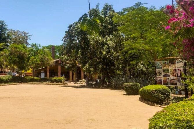 Private Tour to El Quelite Village and Tequila Distillery from Mazatlan - Why Choose This Tour?