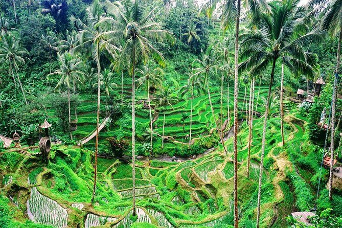 Private Tour to Enjoy Barong Dance, Ubud Art Village and Volcano - Final Thoughts