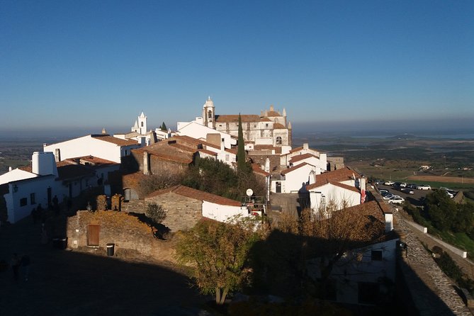 Private Tour to Evora and Monsaraz from Lisbon - Who Should Consider This Tour?