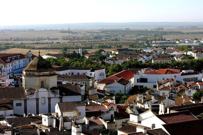 Private Tour to Evora with wine tasting at the Cartuxa Winery - A Thorough Look at the Itinerary: What Makes Each Stop Special