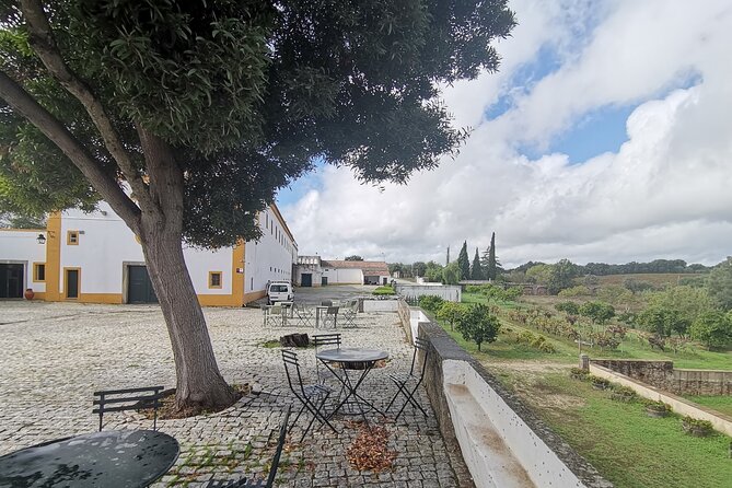 Private Tour to Evora with wine tasting at the Cartuxa Winery - Pricing and Value