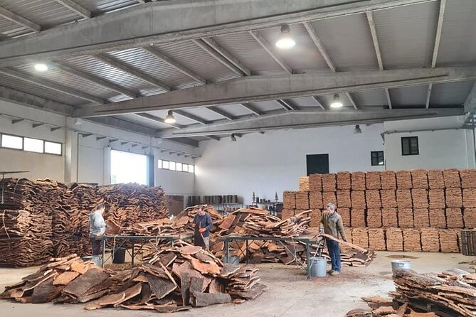 Private Tour to Évora With Wine Tasting - UNESCO WORLD HERITAGE - Exploring Évoras Historic Landmarks