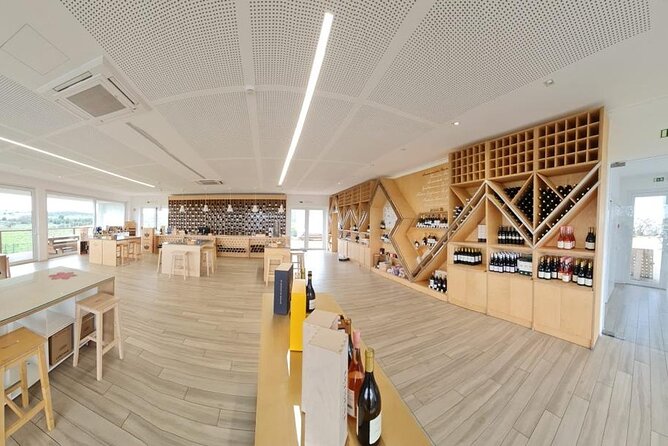 Private Tour to Évora With Wine Tasting - UNESCO WORLD HERITAGE - Customizing Your Itinerary to Suit Your Interests