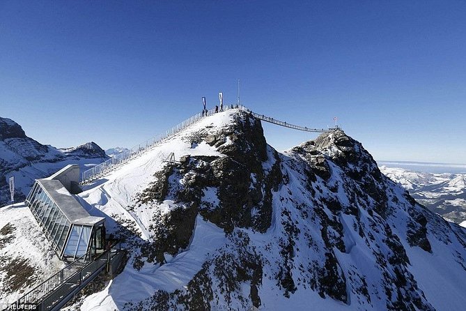 Private Tour to Glacier 3000 from Geneva - What Makes This Tour Stand Out?