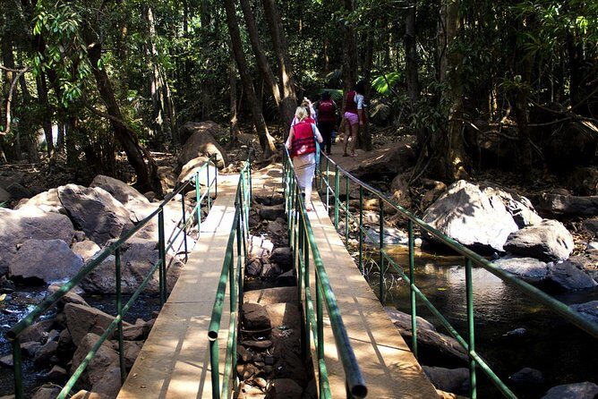 Private Tour to Goa and Dudhsagar Waterfalls with Lunch - The Itinerary: A Day of Contrasts and Beauty