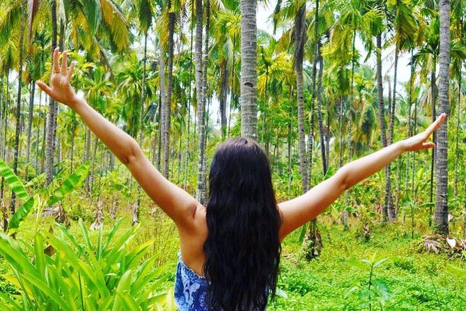 Private Tour to Goa and Dudhsagar Waterfalls with Lunch - Who Would Love This Tour?