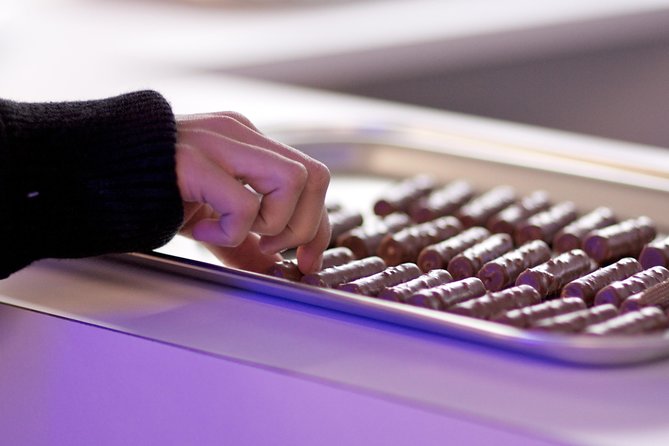 Private Tour to Gruyères, Chocolate & Cheese Factory from Geneva - An Easy, All-Inclusive Introduction to Swiss Food and Culture