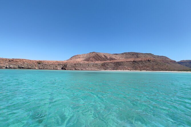 Private Tour to Isla Espiritu Santo and snorkel with sea lions - The Overall Experience: Pros and Cons