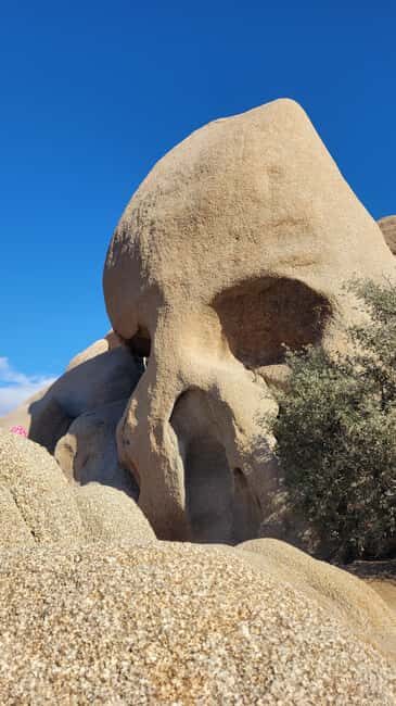 Private tour to Joshua Tree National park from Los Angeles - Experience Overview