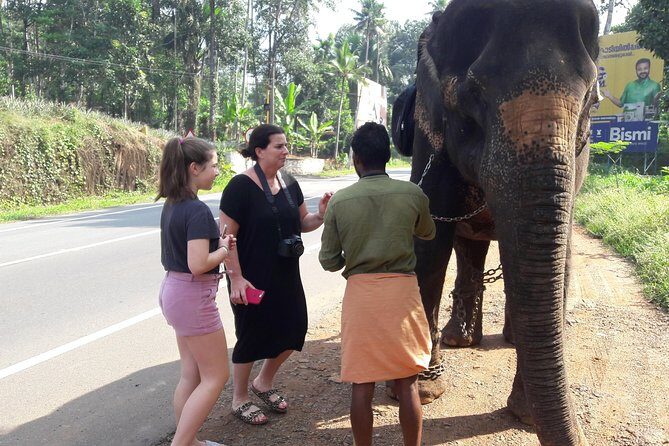 Private Tour to Kochi Suburbs Virgin Hot Spots: Free Pick & Drop - The Sum Up