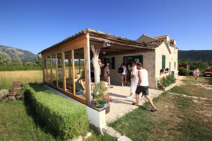 Private tour to Konavle valley with wine tasting - Who Should Consider This Tour?