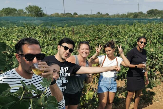 Private tour to Krka waterfalls- Lunch included - Final Thoughts