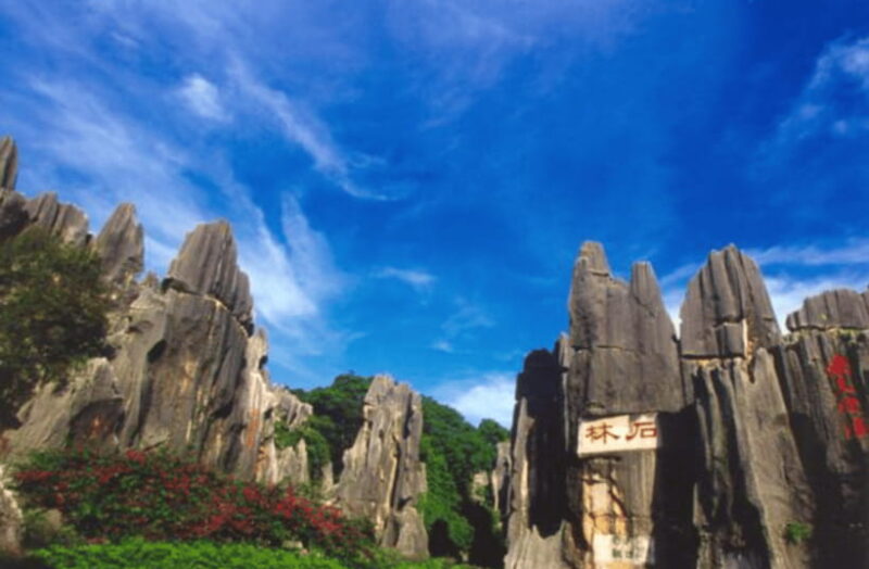 Private tour to Kunming Stone forest - What Travelers Are Saying