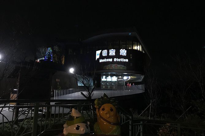 Private Tour to Maokon, Chih Nan Temple & Gondola Experience - Nighttime Views from Maokong