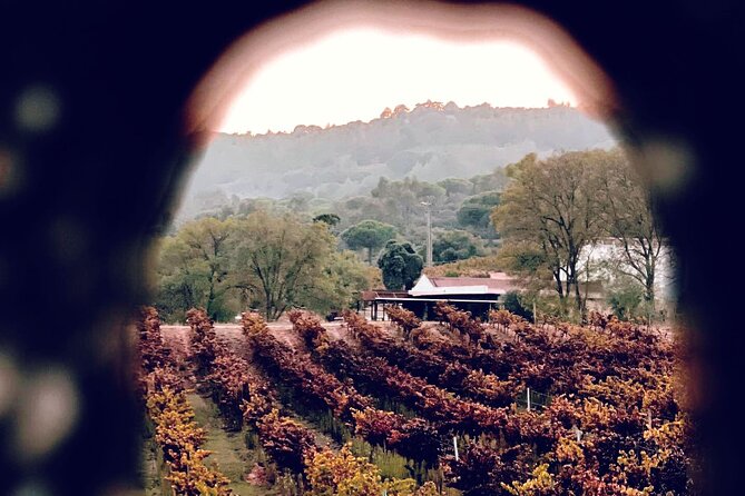 Private Tour to Marvelous Setúbal, the Pearl of Sado - Pole Dancing Session