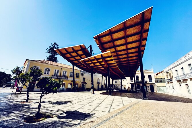 Private Tour to Marvelous Setúbal, the Pearl of Sado - Accessibility and Transportation