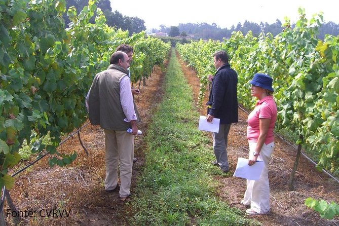 Private Tour to Melgaço and Monção, the heart of the Alvarinho region - An In-Depth Look at the Melgaço and Monção Private Tour