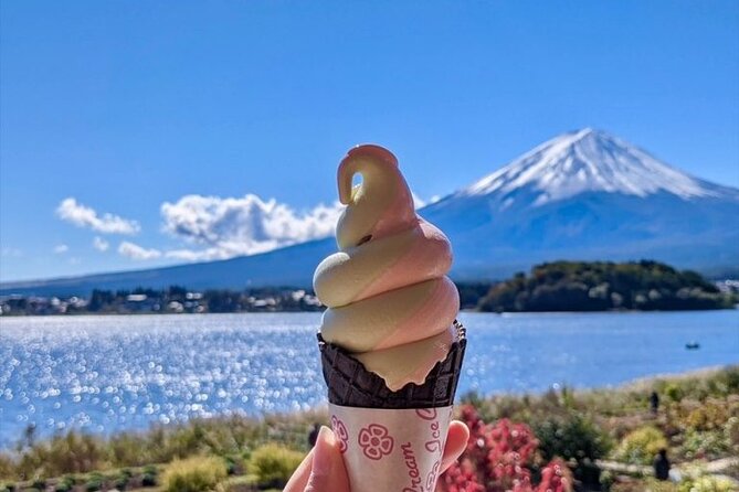 Private Tour to Mount Fuji & Hakone With English Speaking Guide - Itinerary