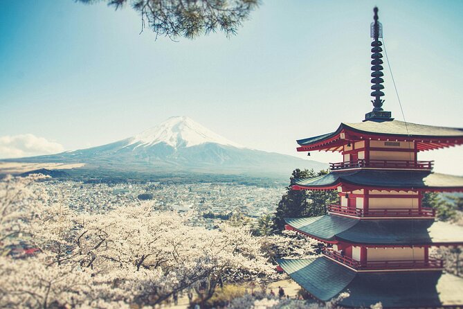 Private Tour to Mount Fuji & Hakone With English Speaking Guide - Common Questions