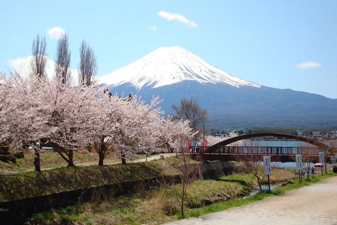 Private Tour to Mount Fuji With an English Driver From Tokyo - Weather and Dietary Considerations