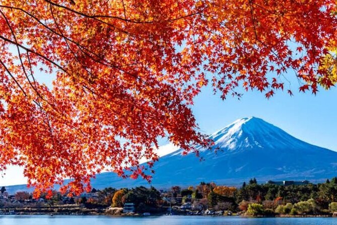 Private Tour to Mount Fuji With an English Driver From Tokyo - Mount Fuji Experience