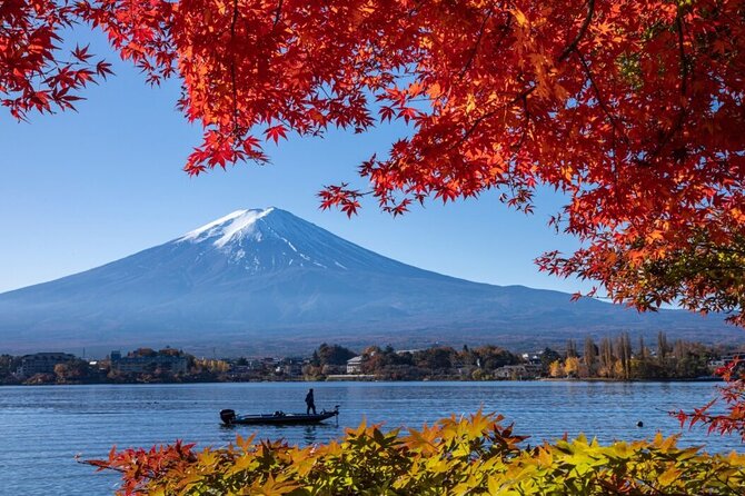 Private Tour to Mount Fuji With an English Driver From Tokyo - Accessibility and Audience