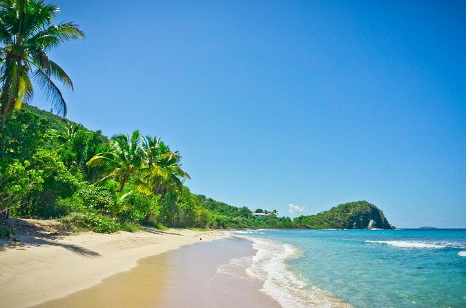 Private Tour to Mount Healthy National Park - Transportation and Logistics