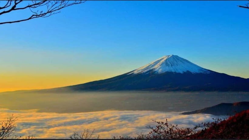 Private Tour to Mt Fuji and Hakone with English Driver - An in-depth look at this private day trip to Mount Fuji and Hakone