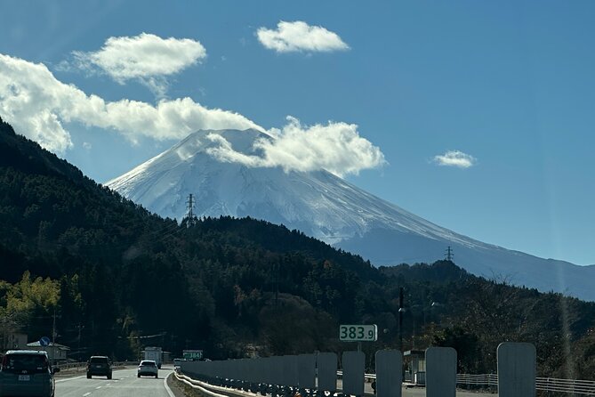 Private Tour to Mt Fuji and Hakone With English Speaking Driver - Inclusions
