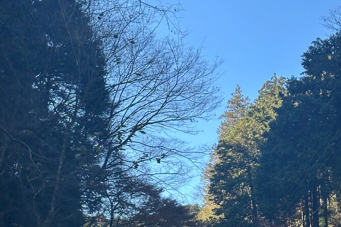 Private Tour to Mt Fuji and Hakone With English Speaking Driver - Pickup and Drop-off