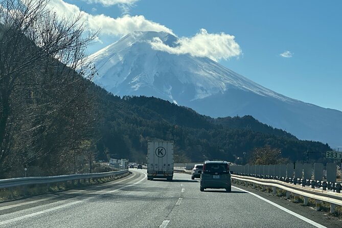 Private Tour to Mt Fuji and Hakone With English Speaking Driver - Common Questions