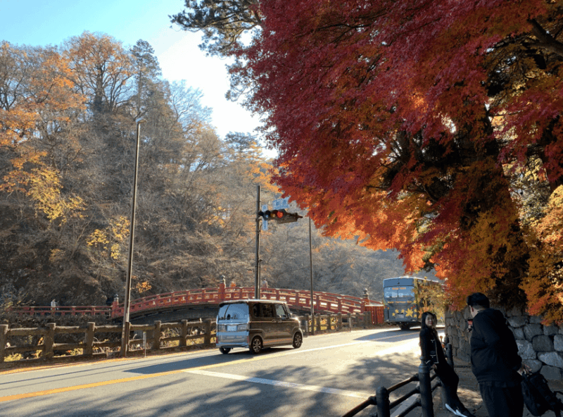 Private Tour to Nikko With An Spanish-Speaking Guide - Important Information