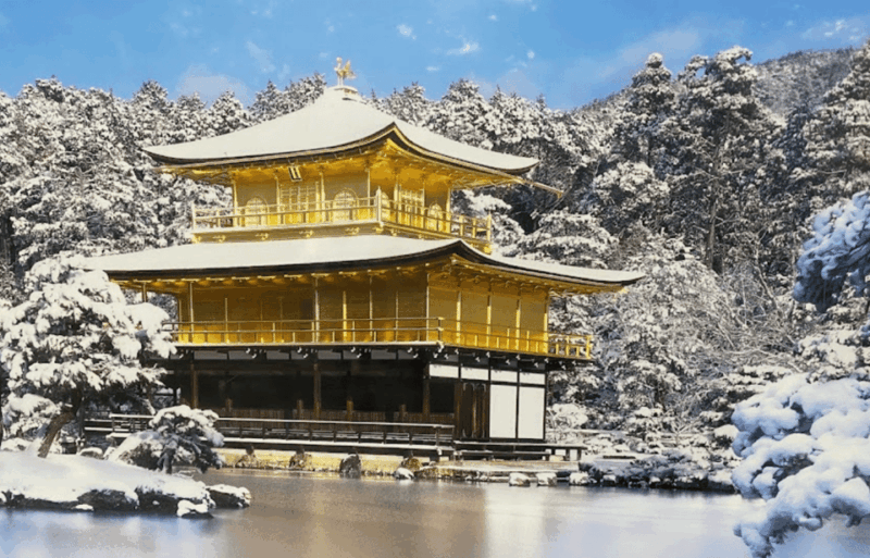 Private Tour to Osaka&Kyoto&Nara(Pickup Location Selectable) - Transportation and Pickup Details