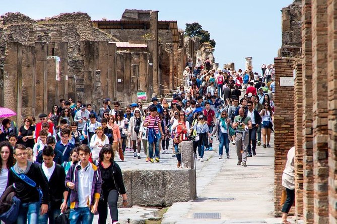 Private tour to Pompeii Herculaneum and Vesuvius - Who Should Consider This Tour?