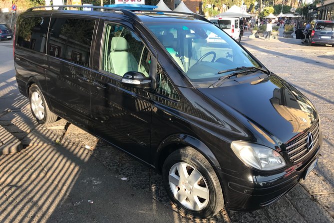 Private Tour to Pompeii, Sorrento and Positano Full-Day - The Sum Up: who will love this tour?