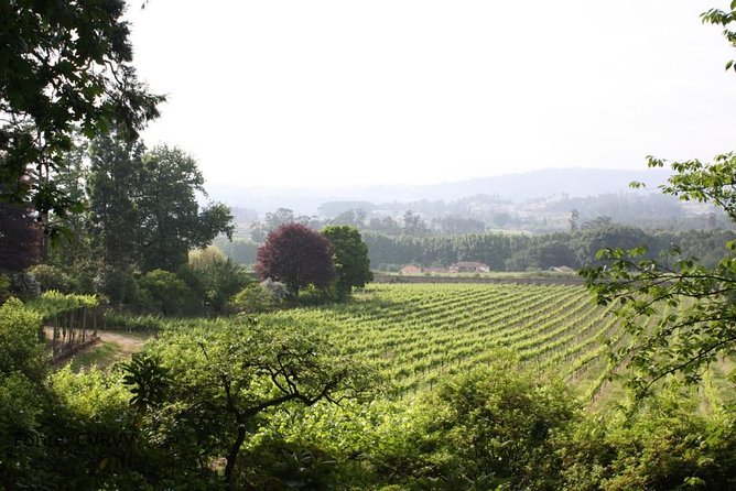Private tour to Ponte de Lima, Vinho Verde region - Who Will Love This Tour?